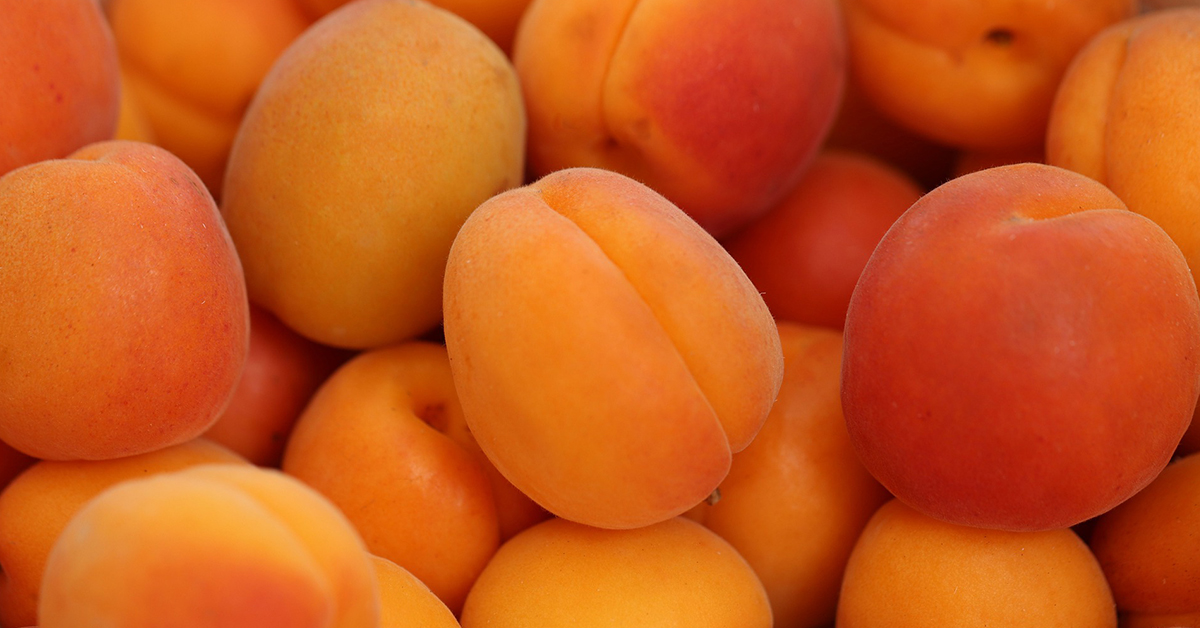 Livsmedel Aprikoser